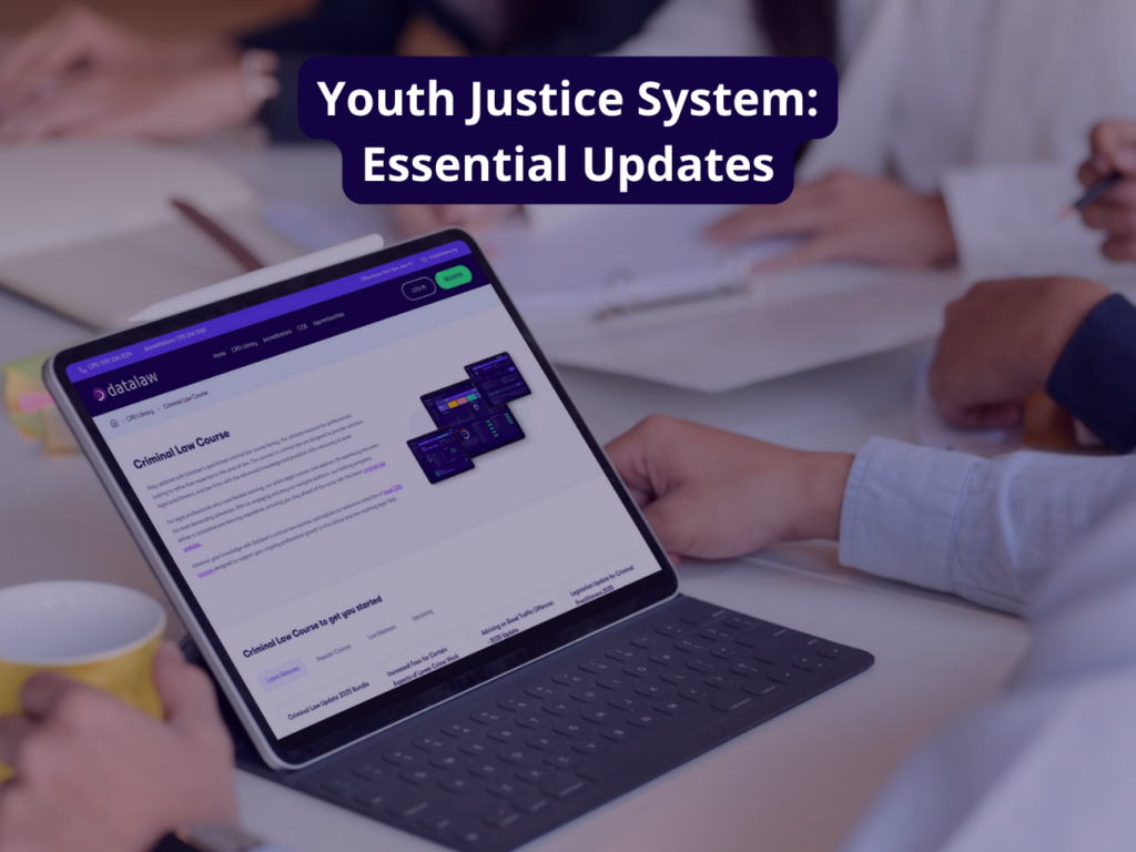 Youth Justice System: Essential Updates - Datalaw